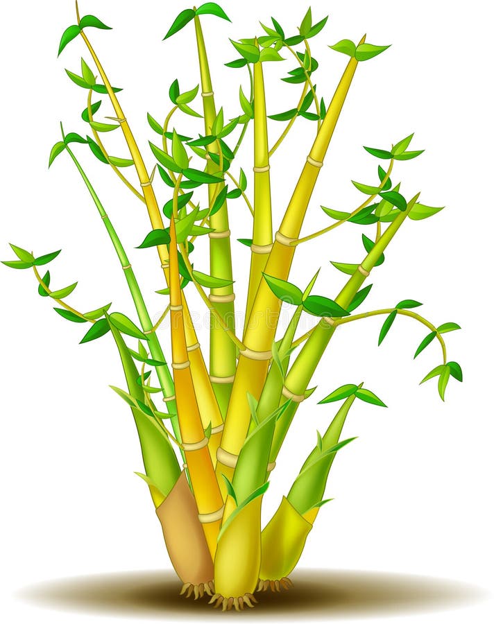 Green Bamboo Trees Cartoon stock illustration. Illustration of funny ...
