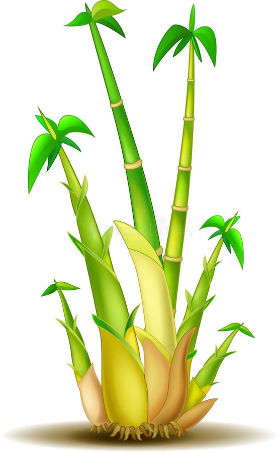 Green Bamboo Trees Cartoon stock illustration. Illustration of funny ...