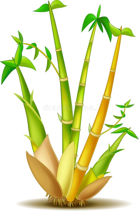 Green Bamboo Trees Cartoon stock illustration. Illustration of funny ...