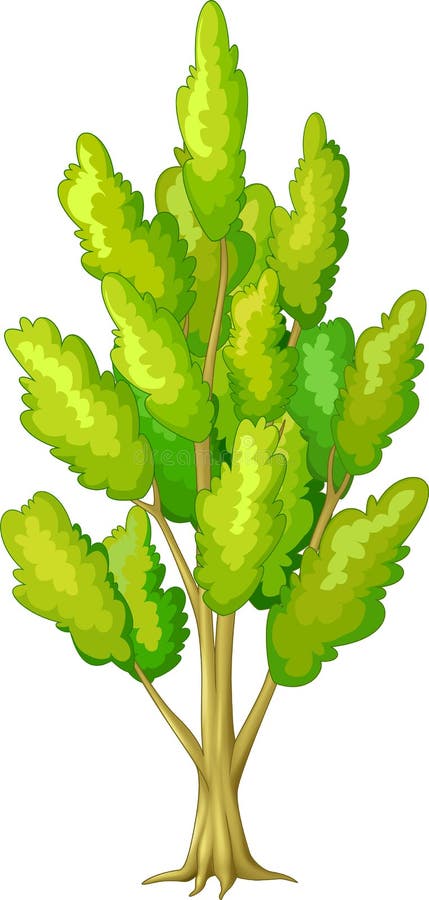 Green Tree Cartoon stock illustration. Illustration of graphic - 165701480