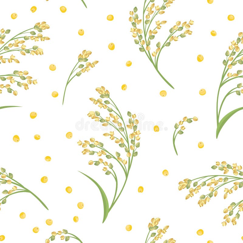 Seamless Pattern with Cereal Plant Proso Millet. Vector Illustration of ...