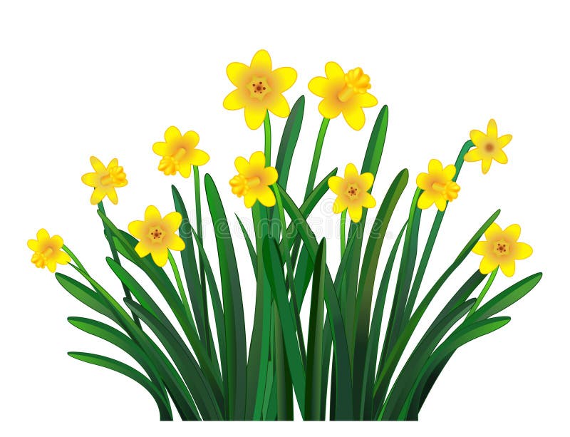 Beautiful Yellow Flower Ivy Plant Cartoon Stock Illustration ...