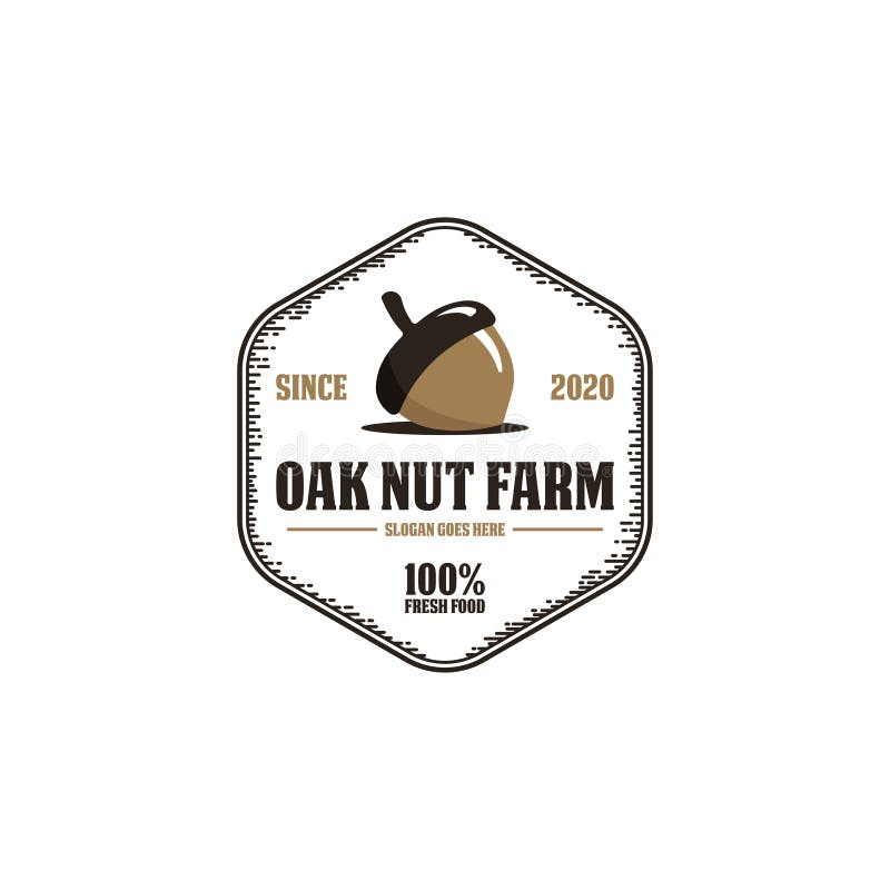 Hand Drawn Vintage Oak Nut Logo Vector Stock Illustration ...