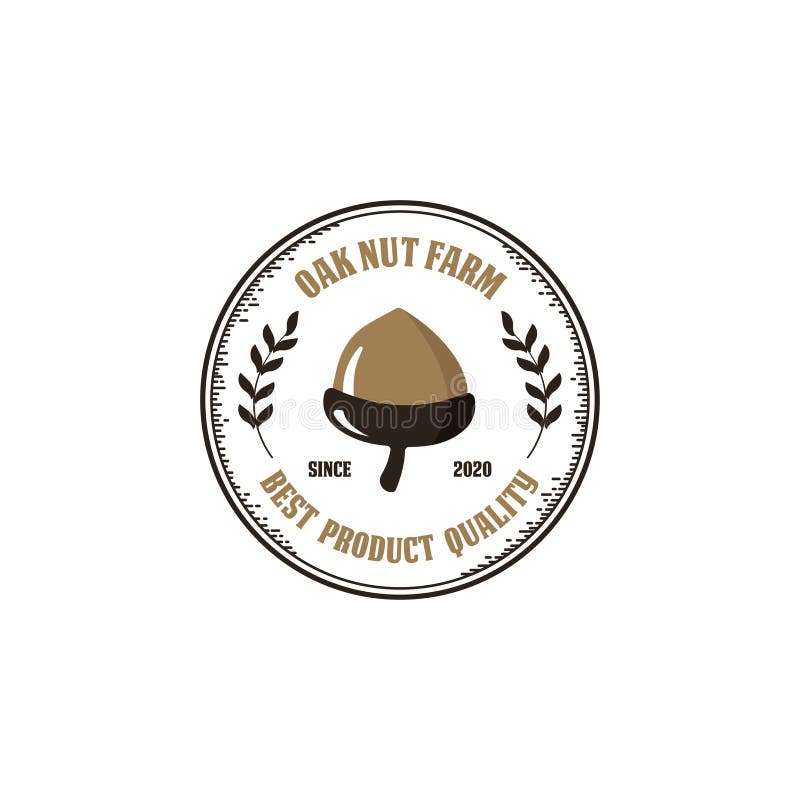Hand Drawn Vintage Oak Nut Logo Vector Stock Illustration ...