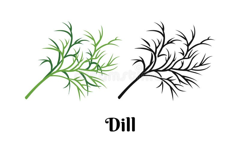 Dill Herb Seamless Pattern. Vector Cartoon Color Illustration Of Dill ...
