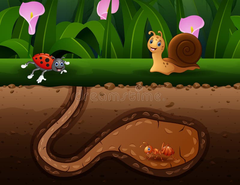 Cartoon Insects in the Garden Stock Vector - Illustration of insect ...