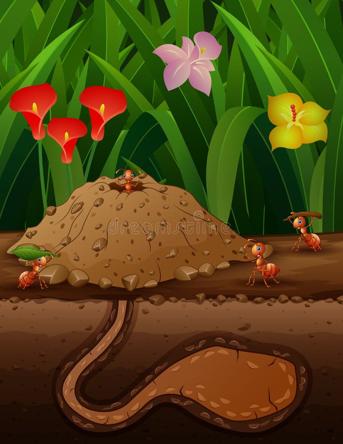 Working ants stock vector. Illustration of food, group - 18533396