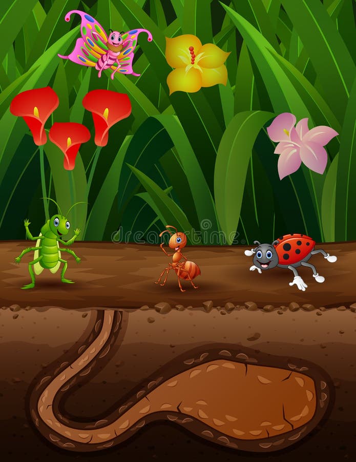 Social Insects Stock Illustrations – 361 Social Insects Stock ...