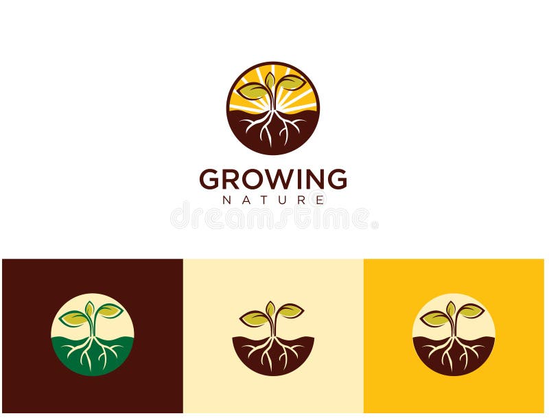 Seed Grow Logo Vector Illustration . Park Seed, Vegetable Seeds, Flower ...