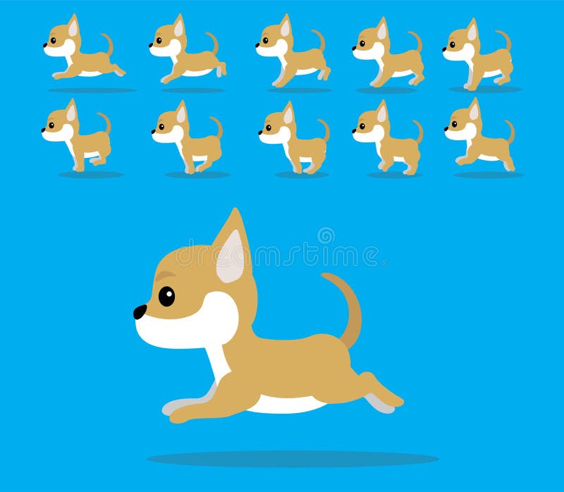 Animal Animation Sequence Dog Chihuahua Cartoon Vector Stock Vector ...