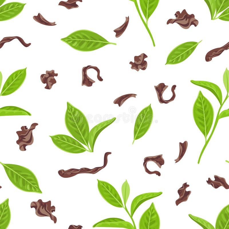 Black Tea Seamless Pattern. Green Tea Leaf and Dry Isolated on White ...