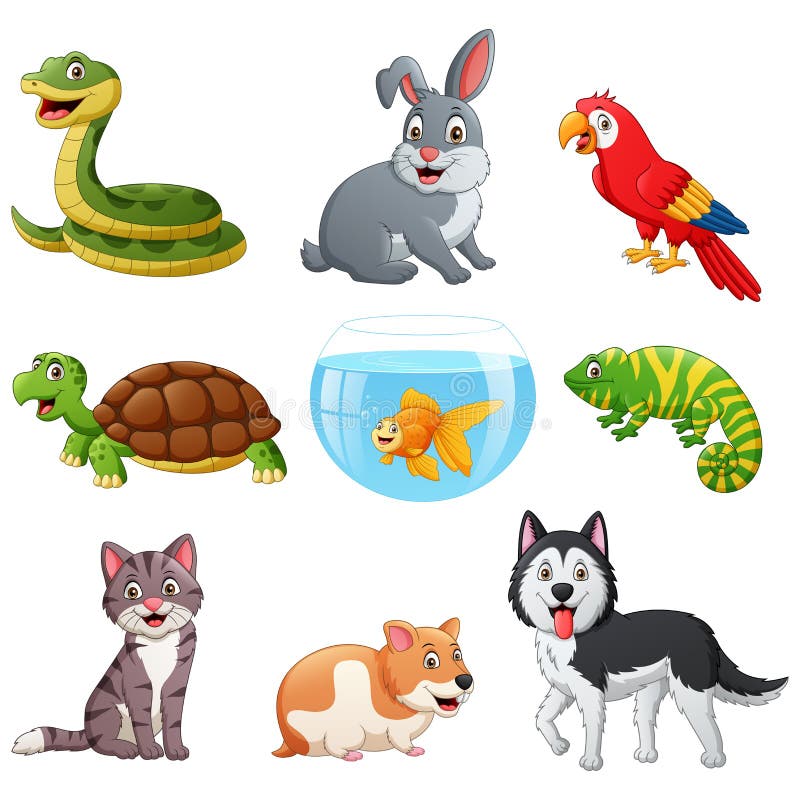 Set of pets cartoon stock vector. Illustration of bird - 174564292