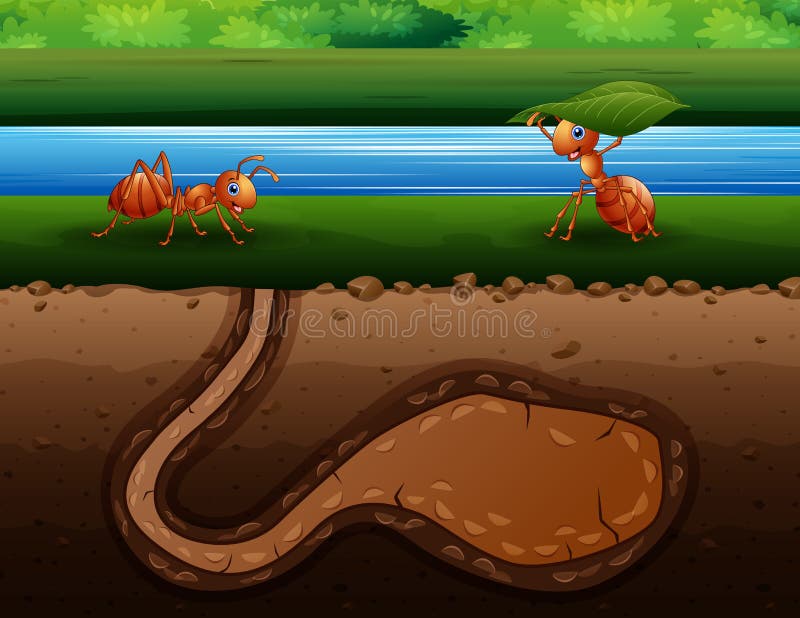 Cartoon Ants Colony With Anthill Stock Vector - Illustration of hole ...