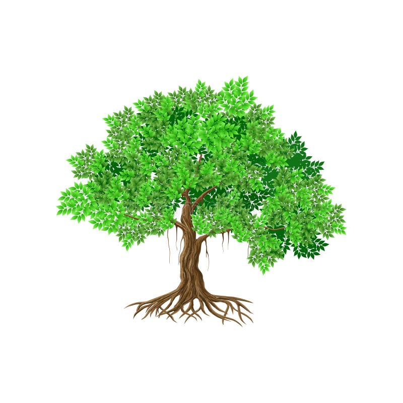 Banyan Tree Icon Silhouette Isolated on White Stock Vector ...