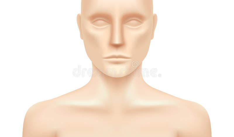 Vector Human Model Isolated on a White Background. Stock Vector ...
