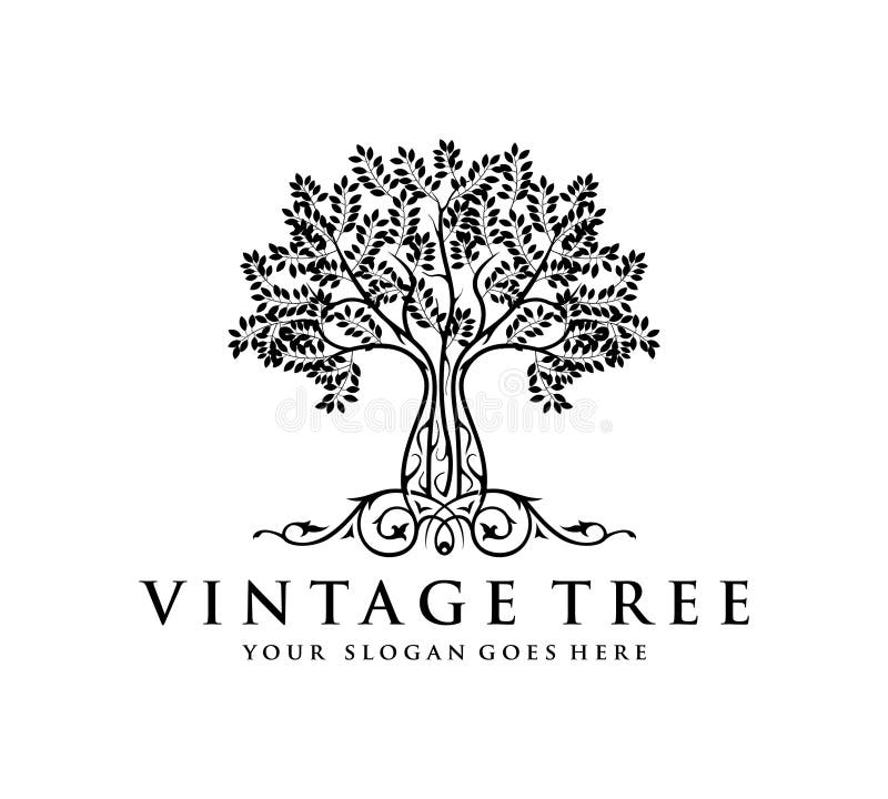 Bakawan Tree Drawing