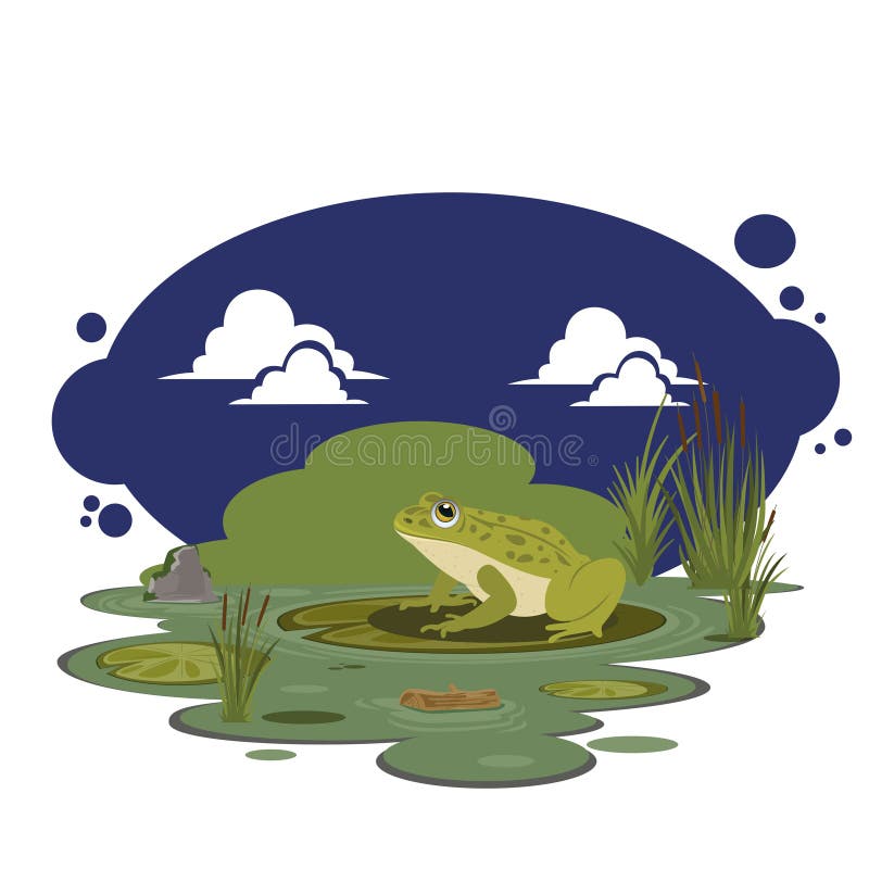 Swamp Frog Stock Illustrations – 1,294 Swamp Frog Stock Illustrations ...
