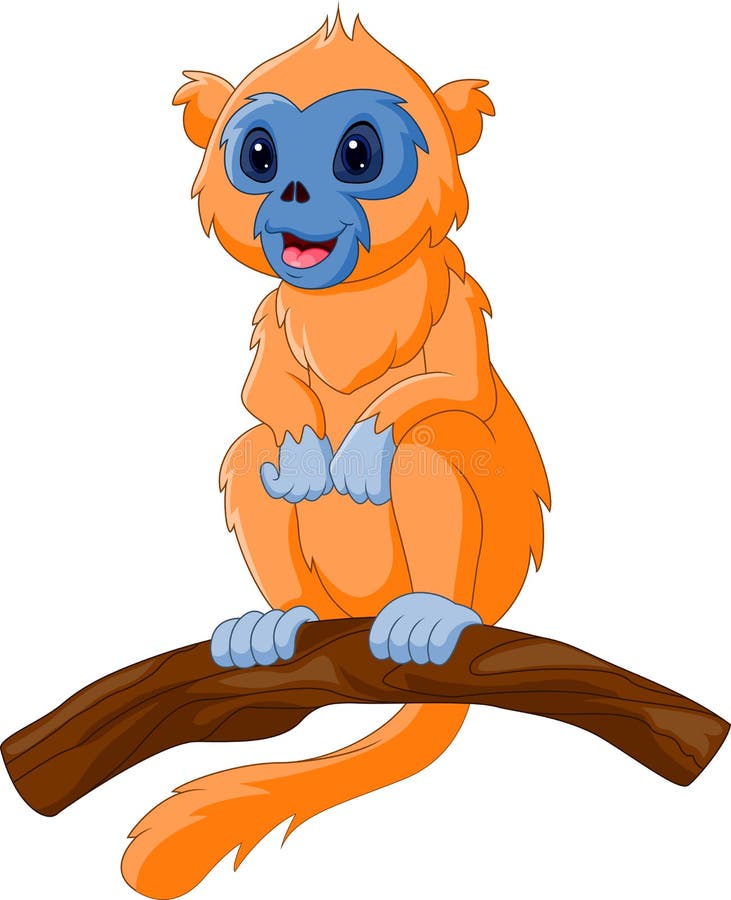 Cute Cartoon Snub Nose Monkey Stock Vector - Illustration of africa ...