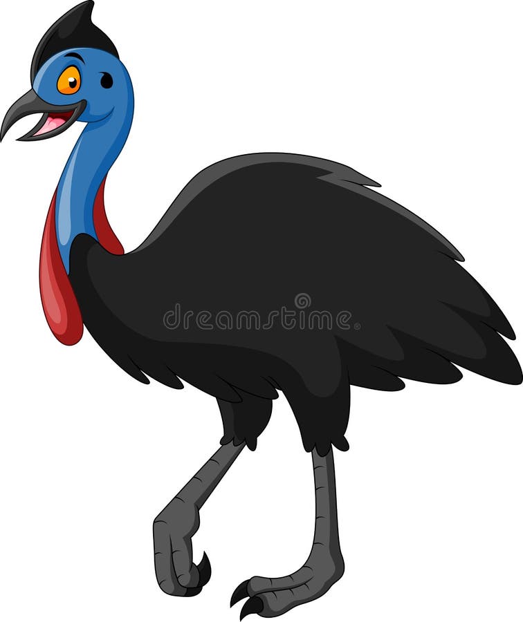 A Cute Cartoon Cassowary Smile Stock Vector - Illustration of cassowary ...