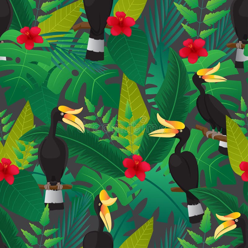 Enggang Bird Stock Illustrations – 21 Enggang Bird Stock Illustrations ...