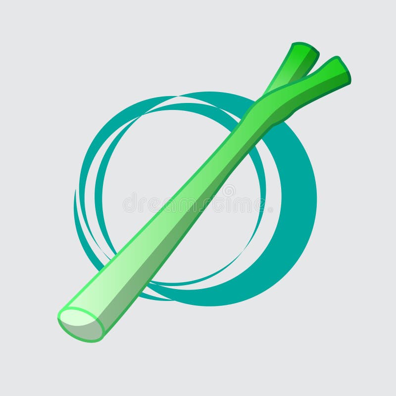 Simple Illustration Of Spring Onion Vector Stock Vector - Illustration ...