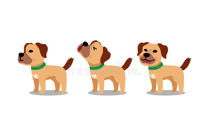 Set of Vector Cartoon Character Dog Poses Stock Vector - Illustration ...