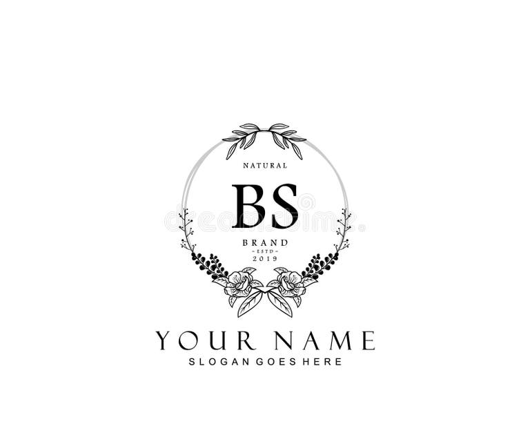 Initial BS Signature Logo Template Vector Stock Vector - Illustration ...
