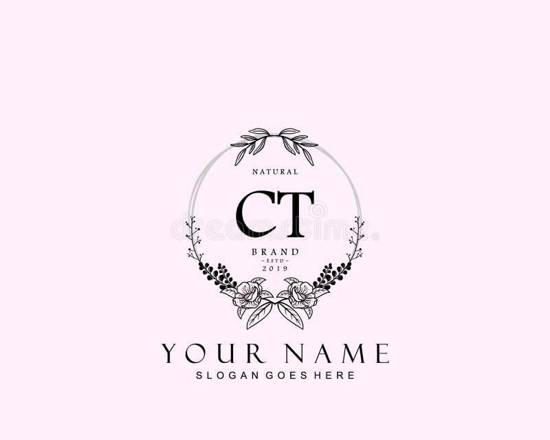 Initial CT Signature Logo Template Vector Stock Vector - Illustration ...