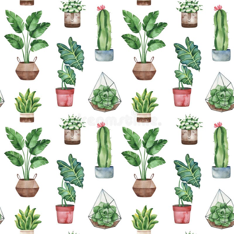 Watercolor Potted Plants Texture Stock Illustration - Illustration of ...