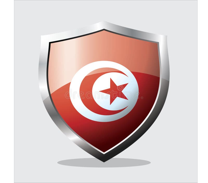 Shield Icon Vector Illustration of Irish Country Flag Stock Vector ...