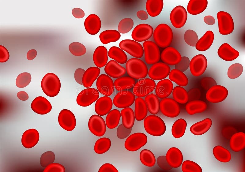 Erythrocytes in the Blood Under the Microscope. Stock Vector ...
