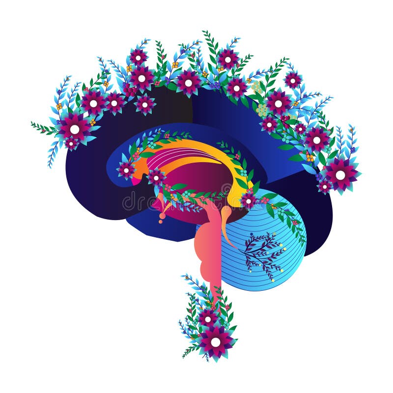 Beautiful Brain because of EDUCATION Web Page. Stock Vector ...