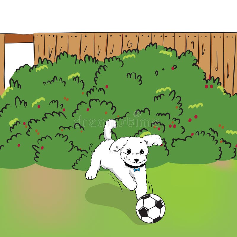 Dog Running Catch the Ball in Garden Vector Stock Vector - Illustration ...