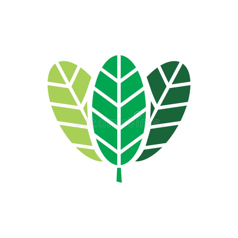 Green Nature Tree Leaf Group Member Logo Design Stock Vector ...
