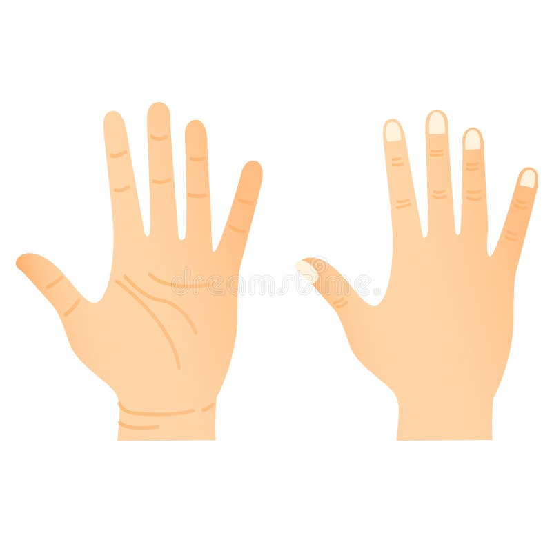 Illustrator of Hand Body Part Stock Vector - Illustration of english ...