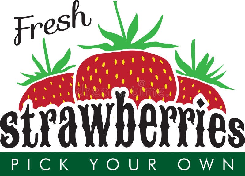 Pick Your Own Fresh Strawberries Sign for a Farm Stand Stock Vector ...