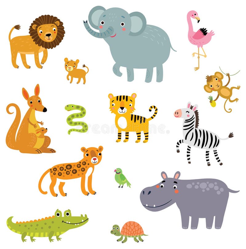 Set of Exotic Animals Vector Illustration. Stock Vector - Illustration ...