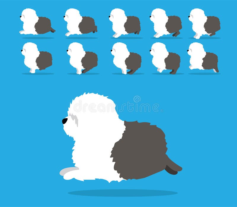 Animal Animation Sequence Dog Old English Sheepdog Cartoon Vector Stock ...