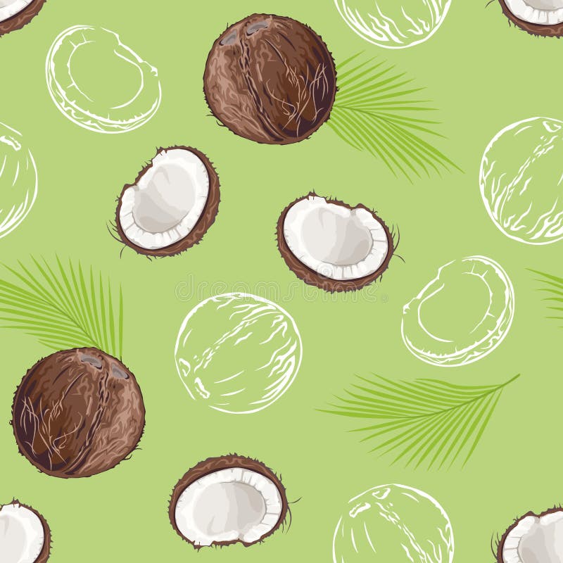 Outline Coconuts Stock Illustrations – 213 Outline Coconuts Stock ...