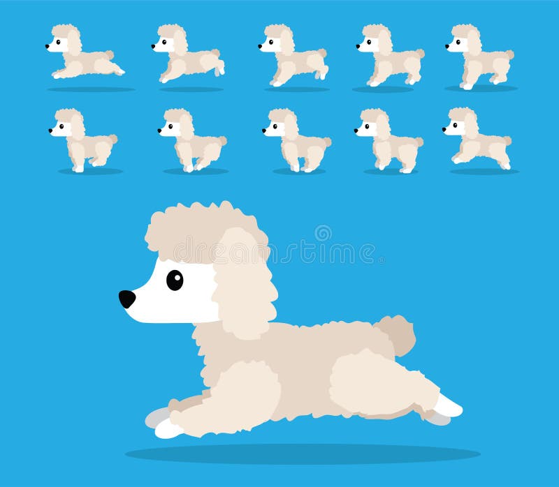 Animal Animation Sequence Dog Standard Poodle Cartoon Vector Stock ...