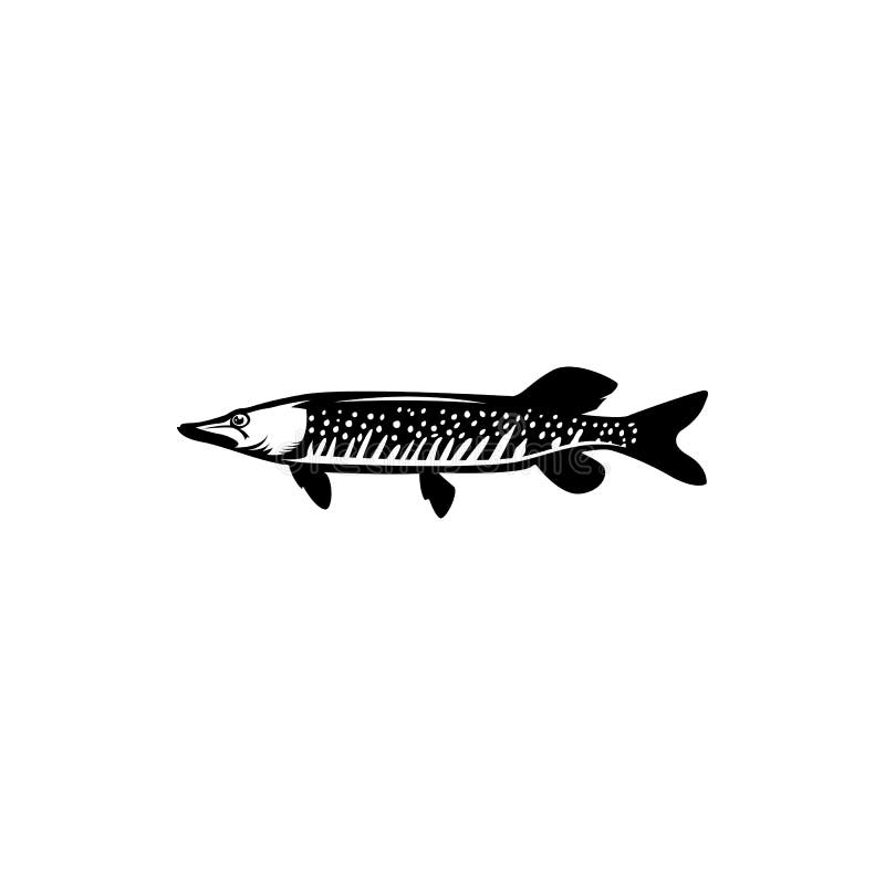 Pike Fish Icon. Fishing Logo Stock Vector - Illustration of emblem ...