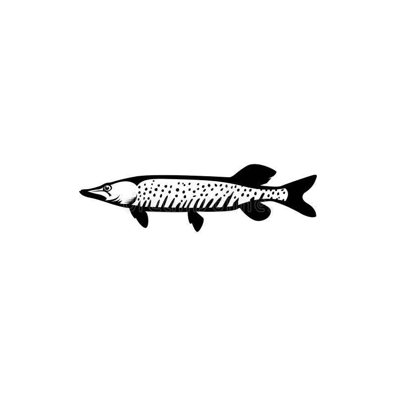 Pike Fish Icon. Fishing Logo Stock Vector - Illustration of catch ...