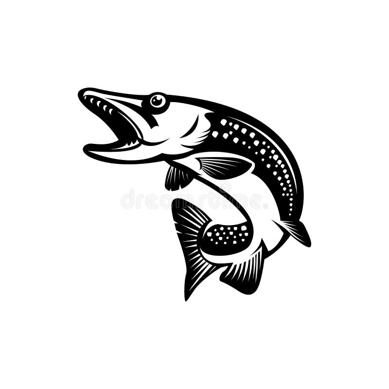Pike Fish Icon. Fishing Logo Stock Vector - Illustration of nature ...