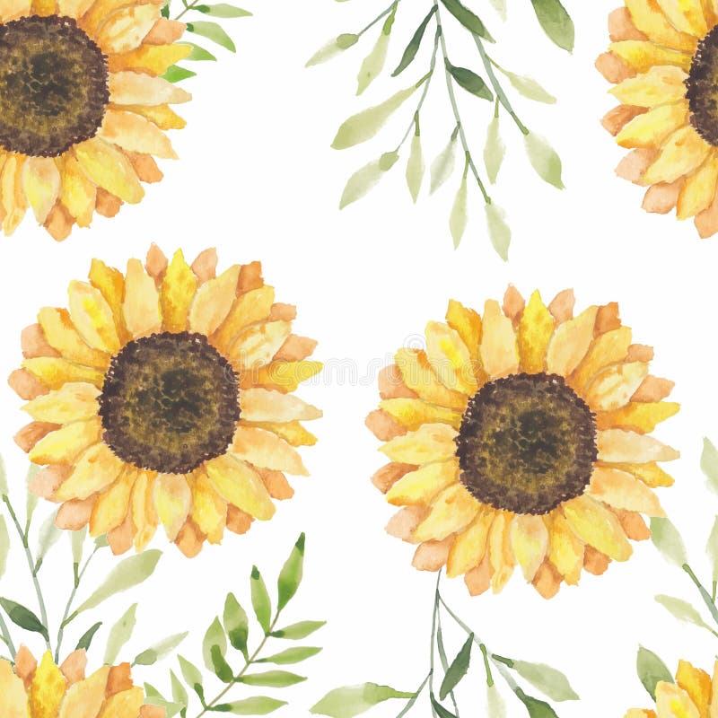 Watercolor Sunflower Floral Seamless Pattern Stock Illustration ...