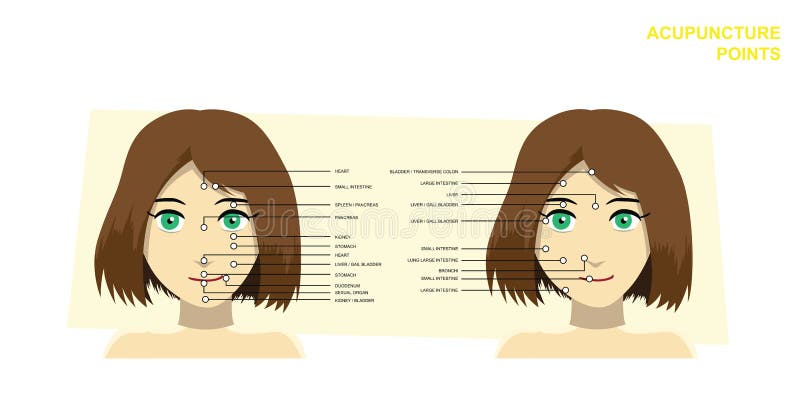 Acupuncture Points Face Manga Cartoon Vector Illustration Stock Vector ...