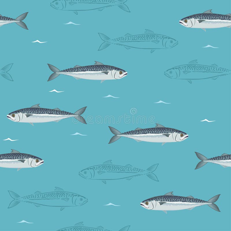 Mackerel Fish Seamless Pattern. Vector Illustration Stock Vector ...
