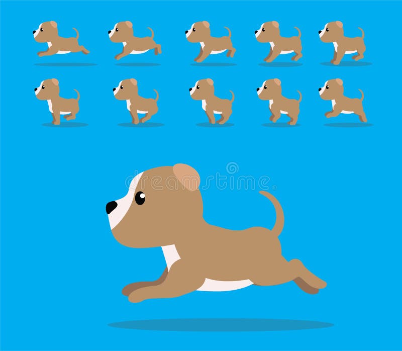 Animal Animation Sequence Dog Staffordshire Terrier Cartoon Vector ...