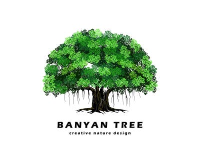 Banyan Tree Vector Illustration Isolated. Ancient Plant. Stock Vector ...