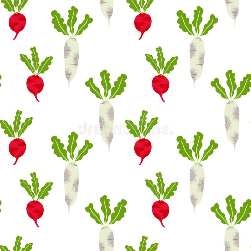 Seamless Radishes Pattern, White Radish and Red Radish Illustration ...