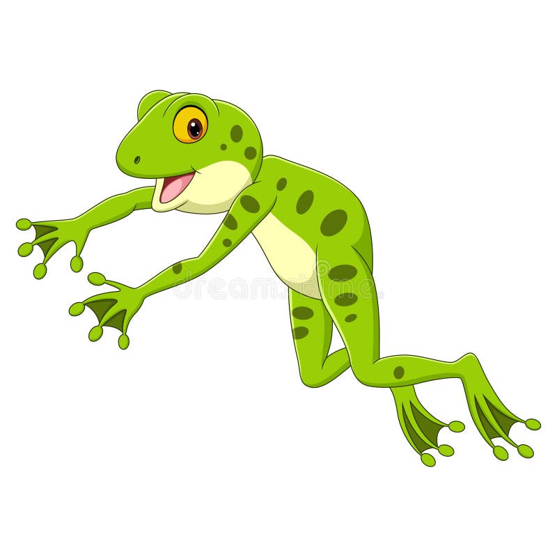 Leaping frog stock vector. Illustration of amphibian, design - 6675117